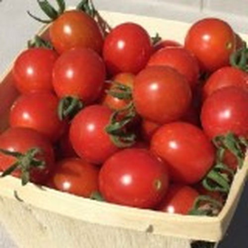 Blue Stone Farm | Blue Stone Farm | Otsego, MI, US