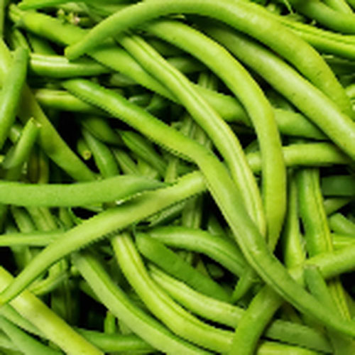 Blue Stone Farm | Blue Stone Farm | Otsego, MI, US