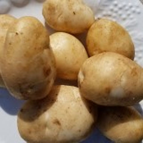 Blue Stone Farm | Blue Stone Farm | Otsego, MI, US