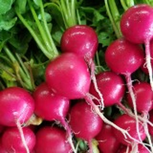 Blue Stone Farm | Blue Stone Farm | Otsego, MI, US