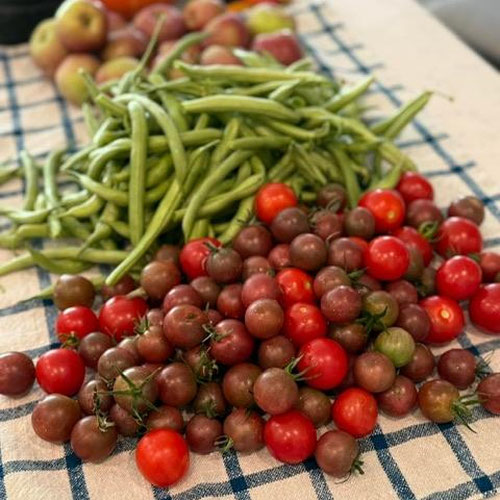 2025 CSA Membership | The Perry Ranch LLC | Parker, CO, US