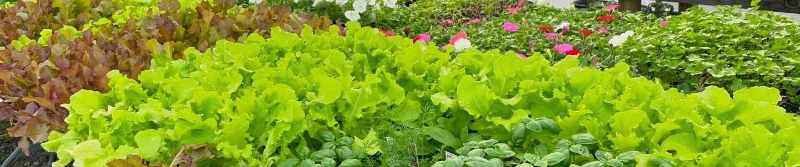 Almosta Farm | Almosta Farm | Gansevoort, NY, US