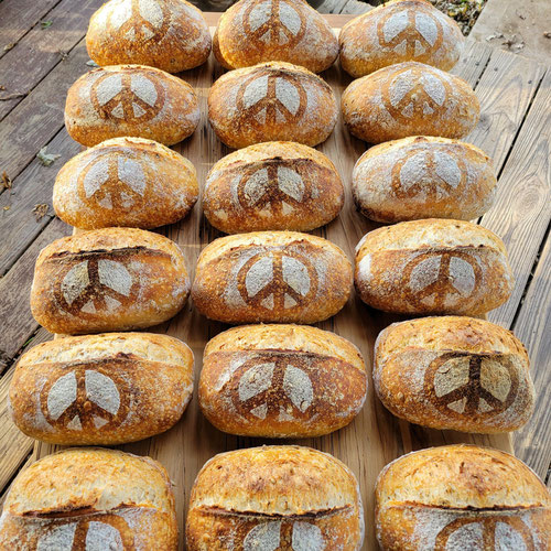 Peace Grain | Peace Grain | Dallas, PA, US