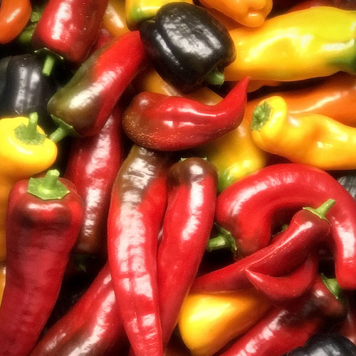 Peppers, Sweet (Italian) | Plenty Wild Farms | Pemberton, BC, CA