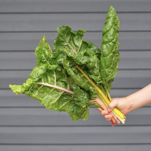Wyebrook Farm | Butcher Shop | Honey Brook, PA, US