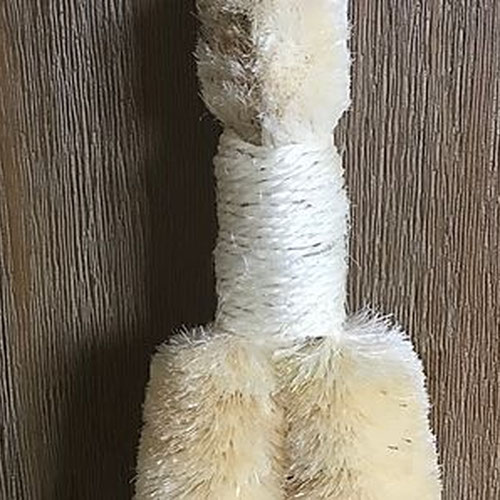 Urban Oasis Project | Urban Oasis Project | Miami, FL, US