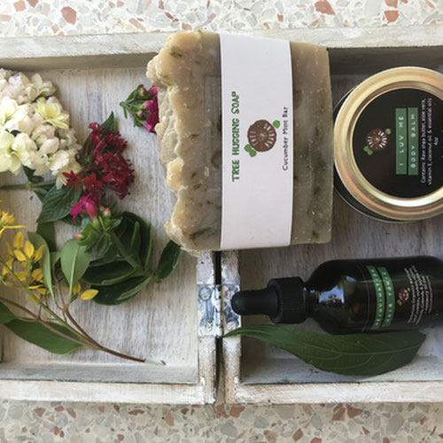 Urban Oasis Project | Urban Oasis Project