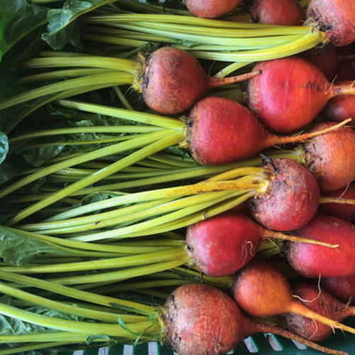 Cropthorne Farm | Cropthorne Farm Bulk Order | Delta, BC, CA