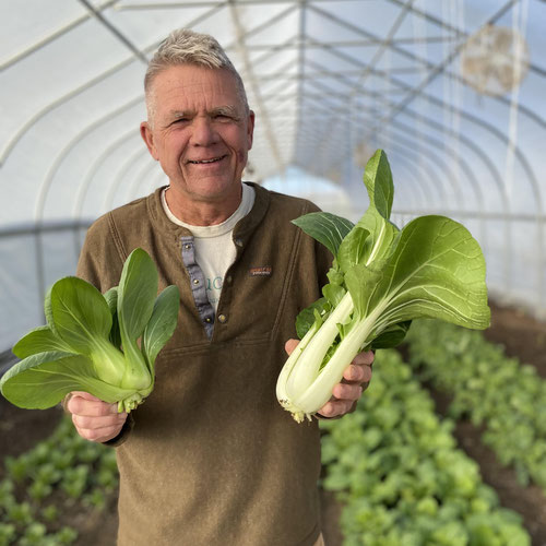 The Cornucopia | My Products