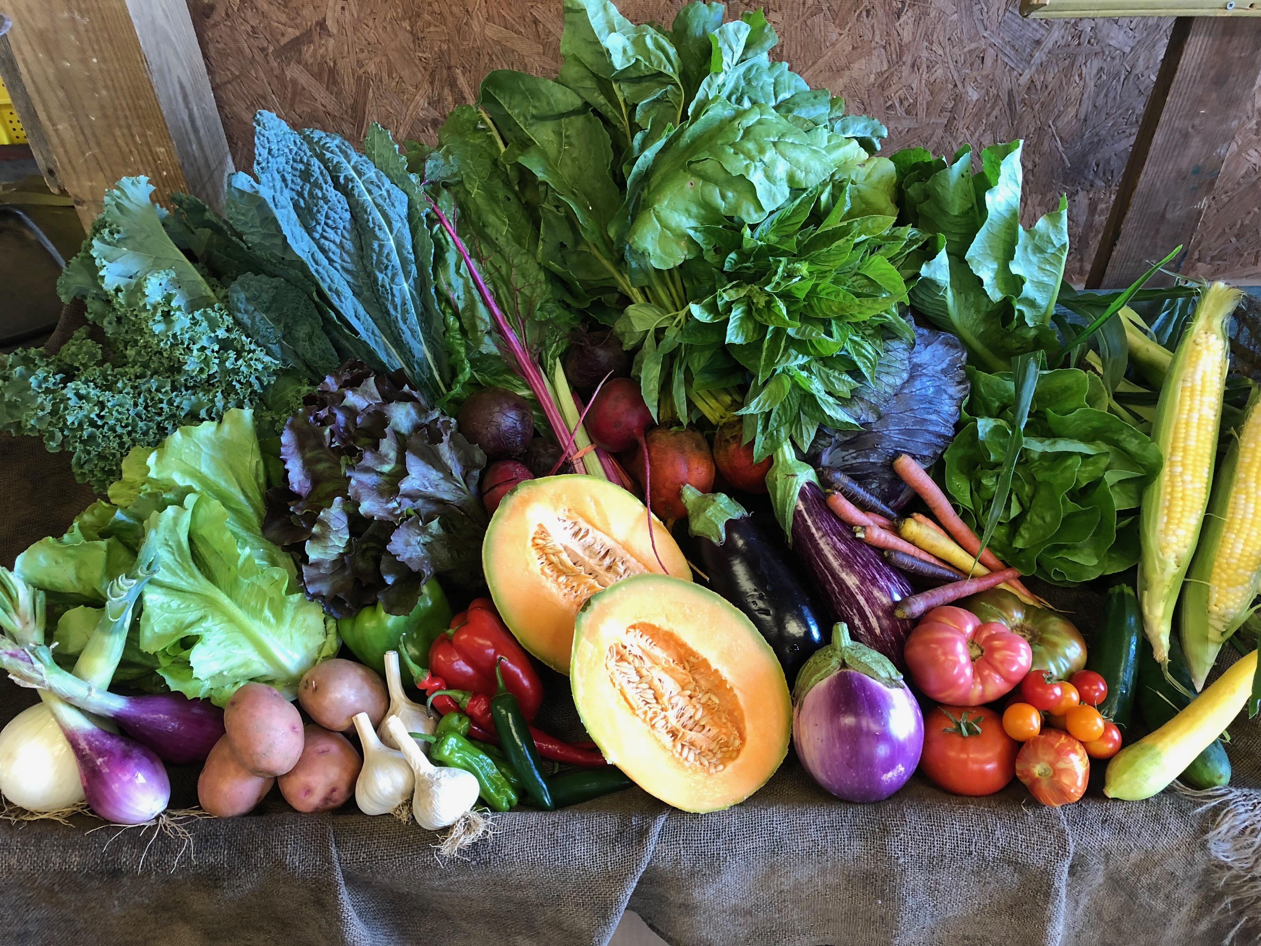 Fort Hill Farm | WELCOME to FORT HILL FARM's WINTER VEGETABLE PRE-ORDE...