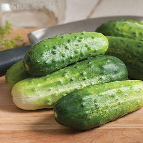 Shared Legacy Farms | Welcome to our online farm store! | Elmore, OH,...