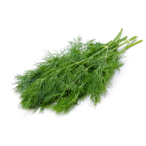 Shared Legacy Farms | Welcome to our online farm store! | Elmore, OH,...