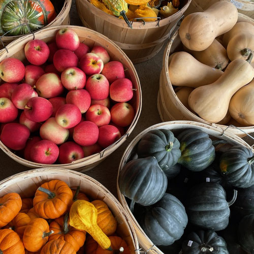 Dixie Orchards Inc. | My Products | Regional Municipality of Peel, ON,...