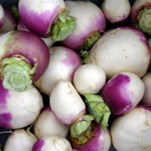 SKINNY DIP FARM | SKINNY DIP FARM ONLINE STORE | Little Compton, RI, U...