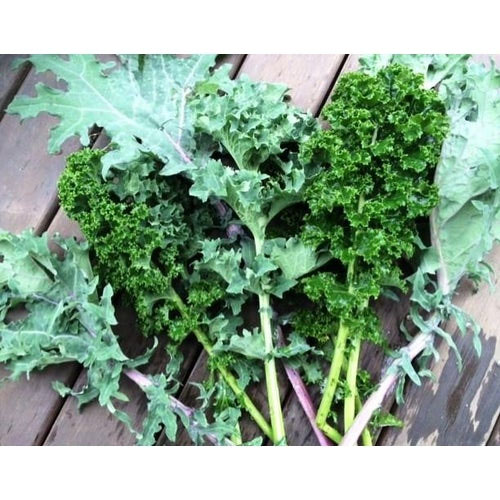 SKINNY DIP FARM | SKINNY DIP FARM ONLINE STORE